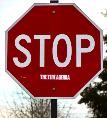 Stop The TERF Agenda Stop Sign Sticker