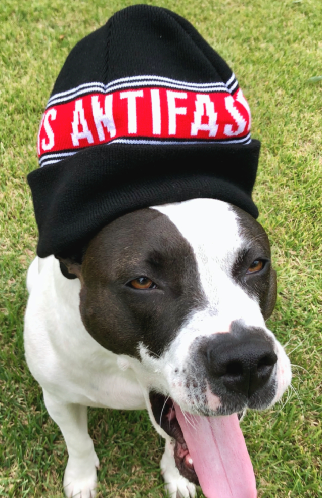 Always Antifascist beanie